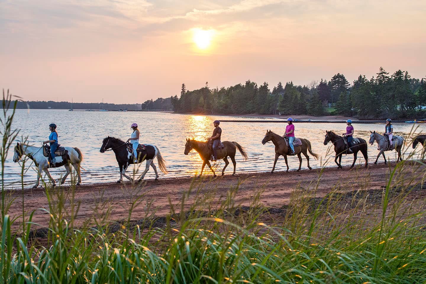 Beginner Family Trail & Beach Rides | Brudenell Riding Stables